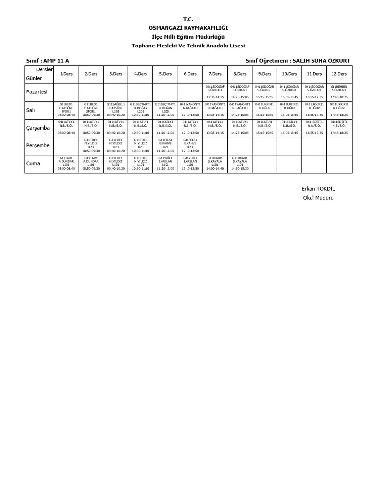 11.SinifElProgrami | PDF