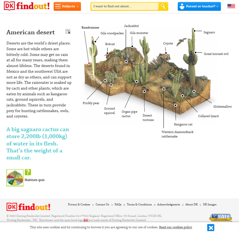 American Deserts Desert Habitats DK Find Out 3 | PDF | Desert