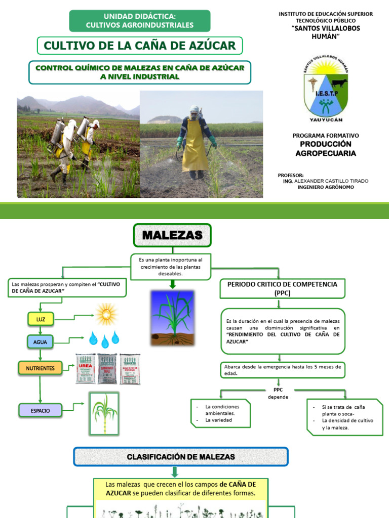 Control Químico de Malezas en Caña | PDF