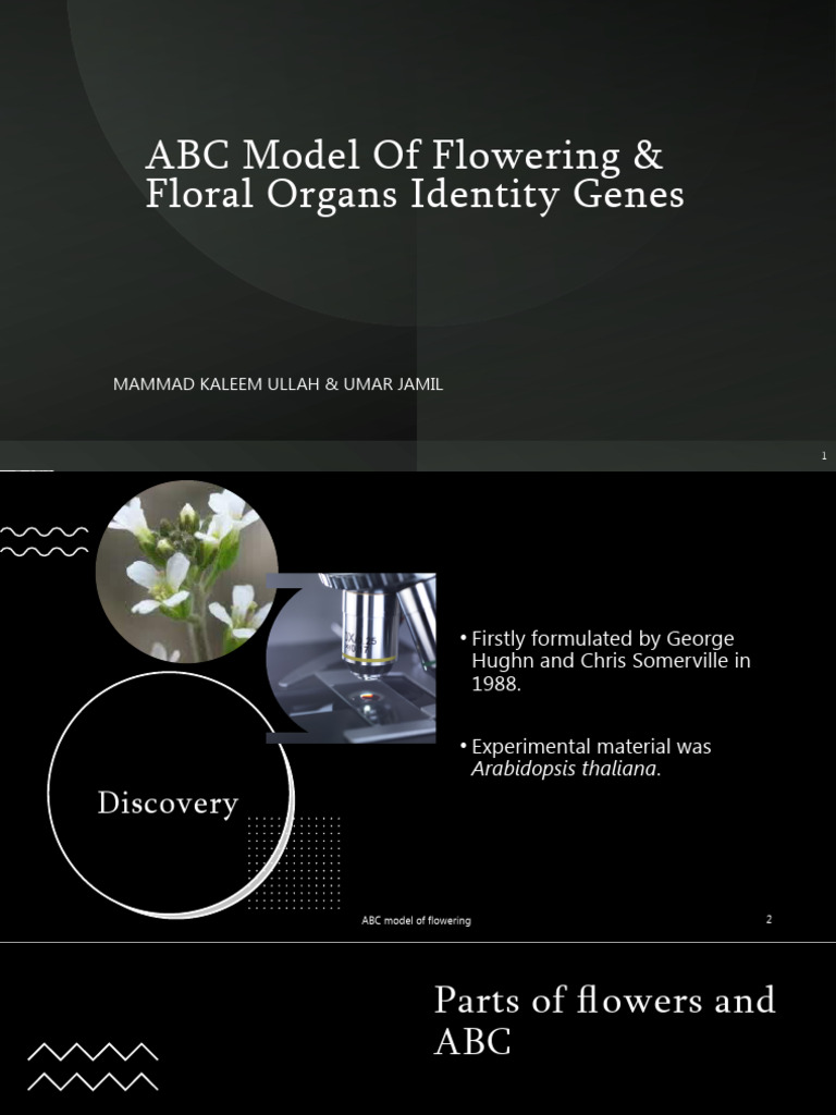 ABC Model of Flolwering & Floral Organs Identity Genes | PDF | Wellness