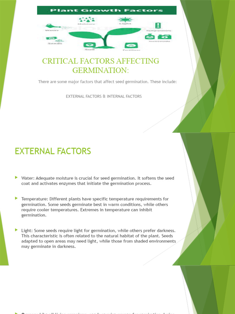 Key Factors Influencing Seed Germination | PDF | Seed | Germination