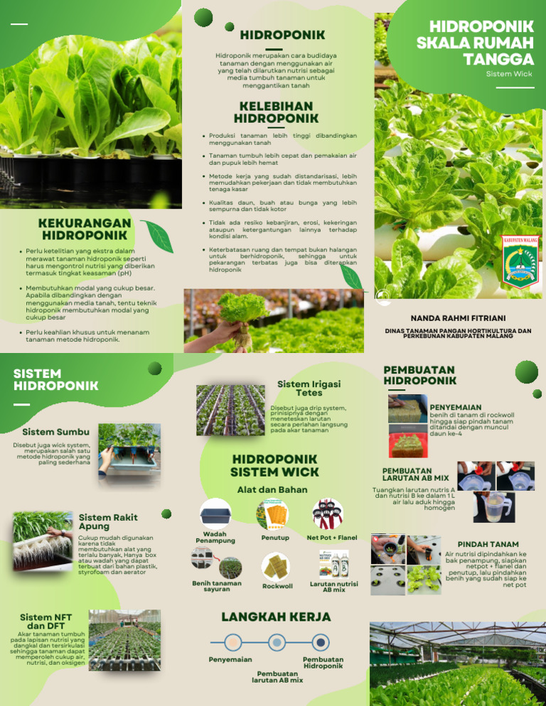 Folder Hidroponik | PDF