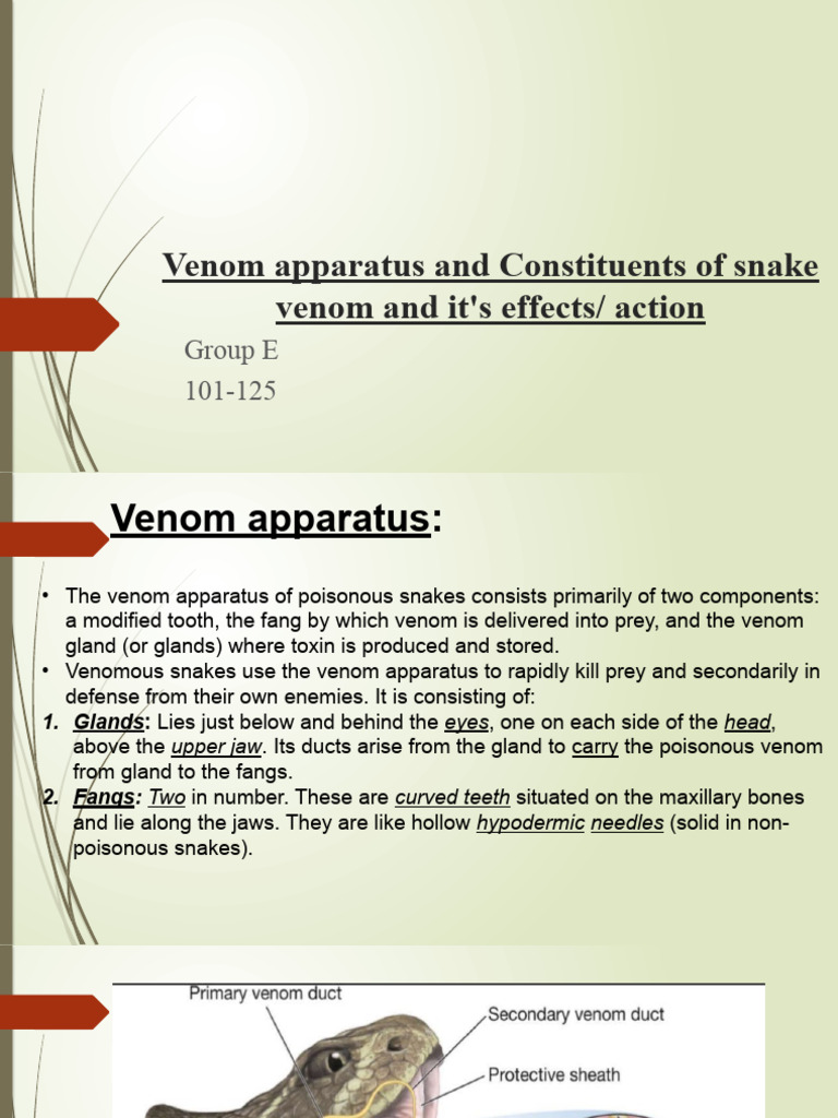 Venom Apparatus and Constituents of Snake Venom | PDF | Venom | Medical Specialties