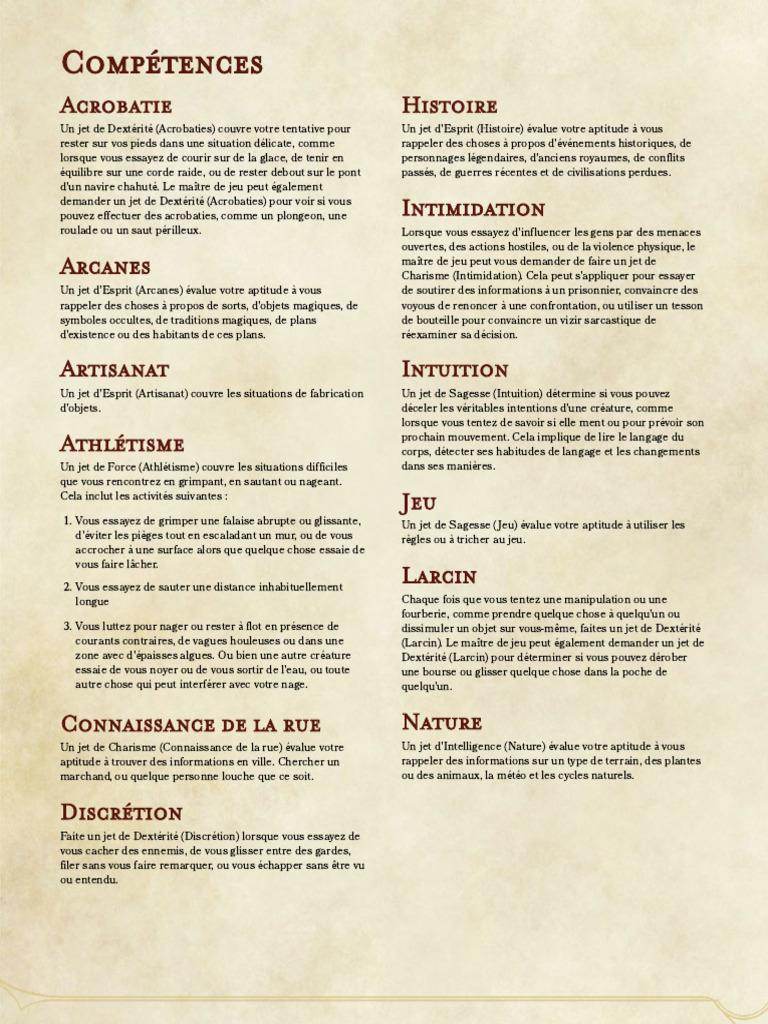 Description Des Compétences | PDF