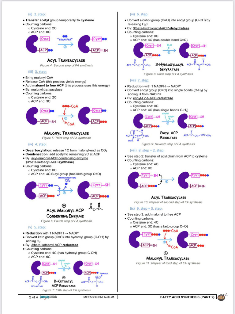 jpg2pdf 2 | PDF