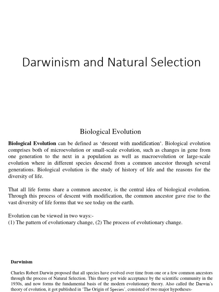 P401-01B Darwinism and Natural Selection | Download Free PDF | Natural Selection | Evolution