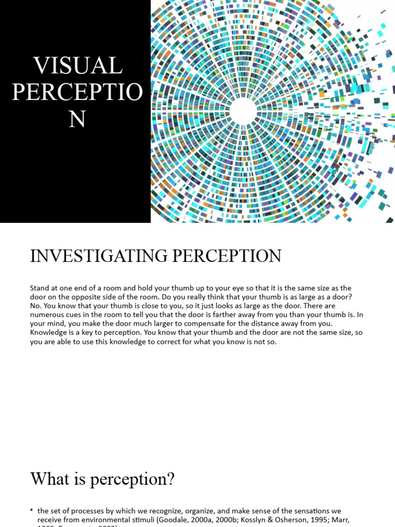 Perception | PDF