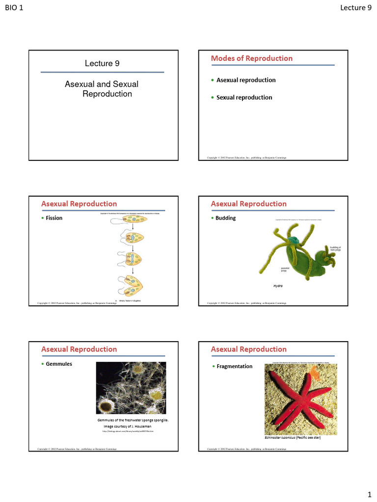 Lecture 9 - Asexual and Sexual Reproduction | PDF