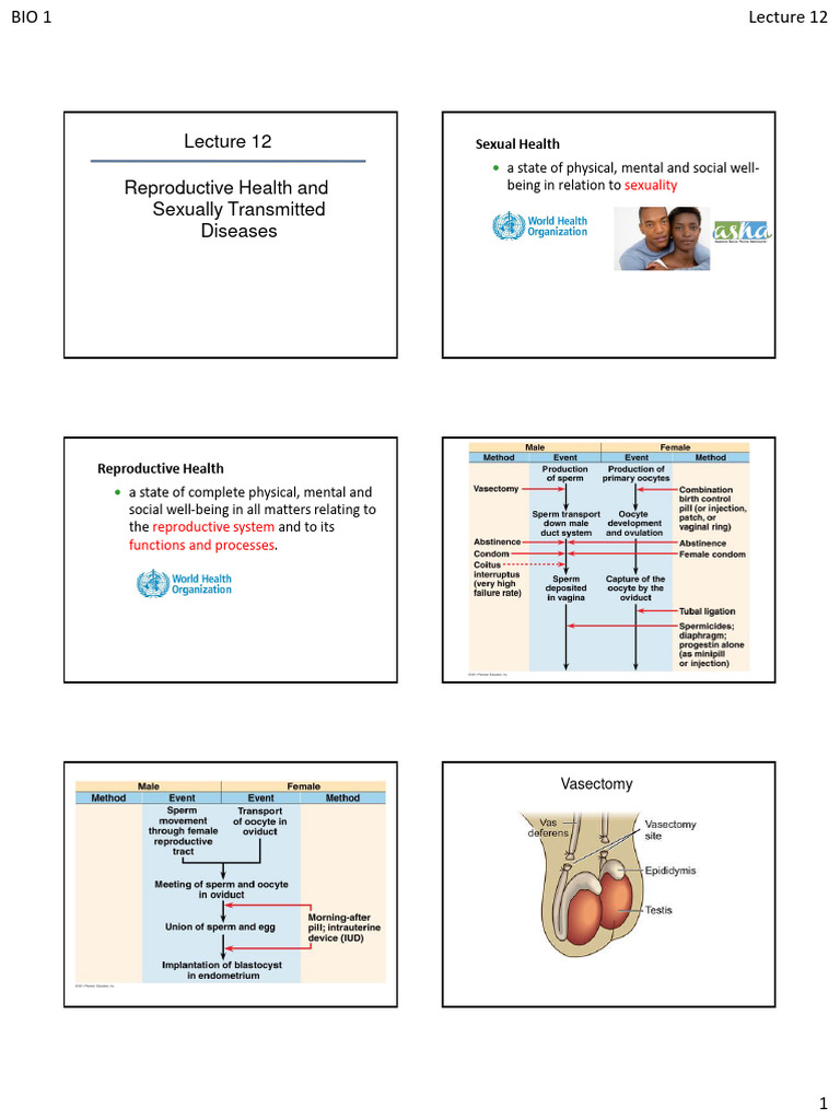 Lecture 12 - Reproductive Health and STDs | PDF