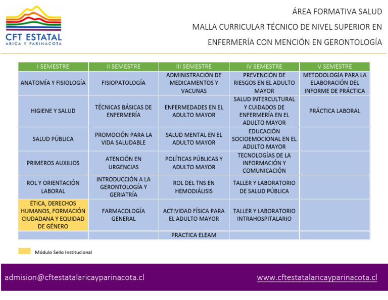 Malla Curricular TNS en Enfermeria Con Mencion en Gerontologia | PDF | Vejez | Enfermería