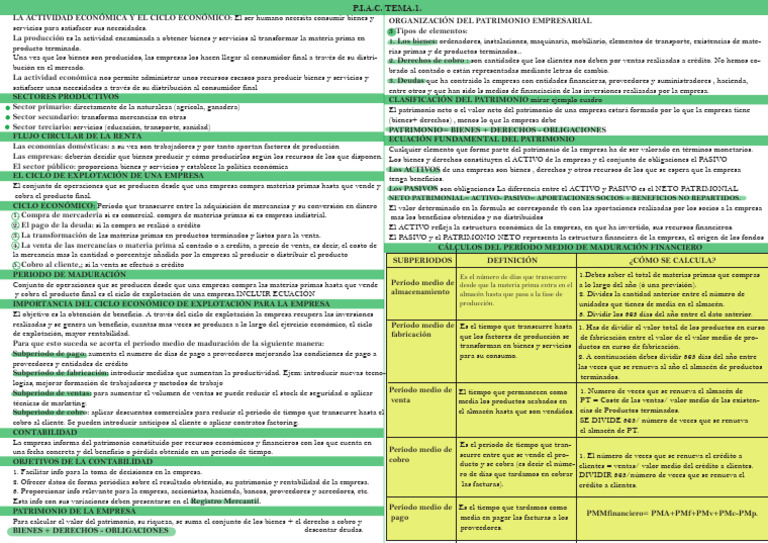 ESQUEMA 1 PIAC | PDF | Business | Bienes