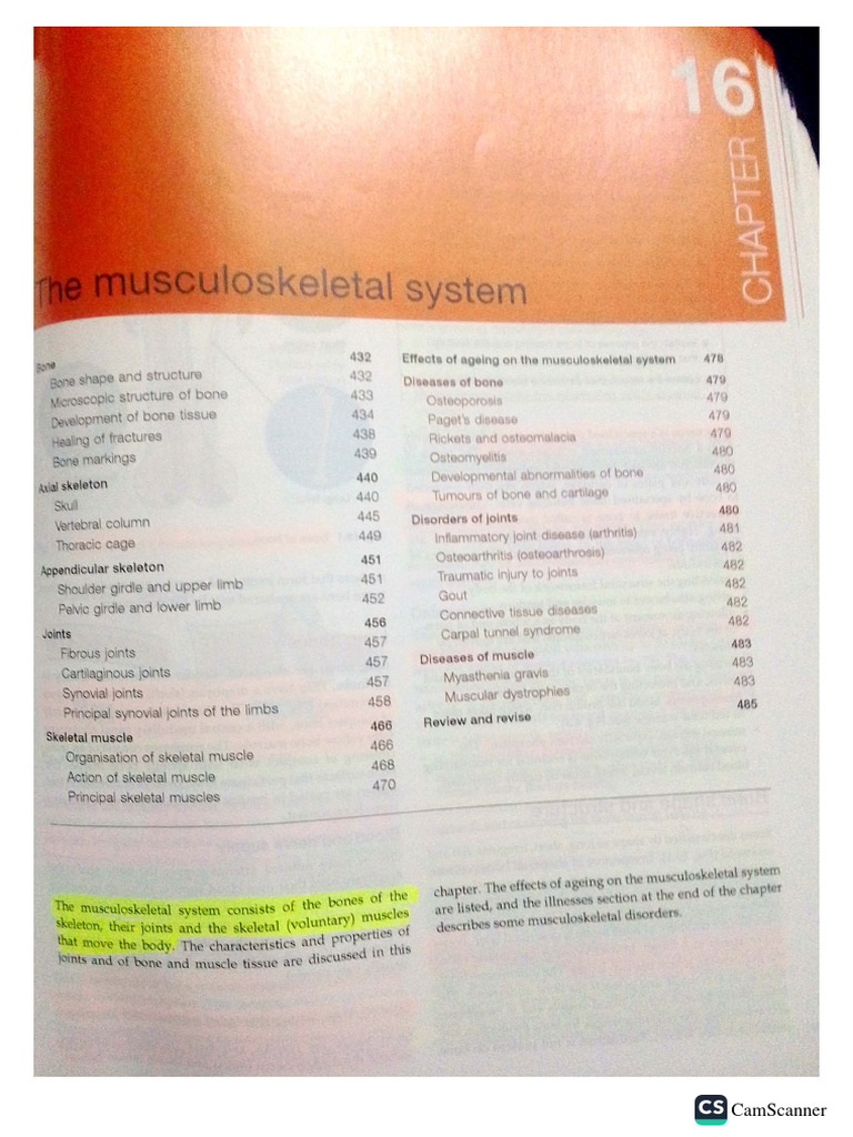 Chp.16 The musculoskeletal system. Ross and Wilson.14th edition | PDF