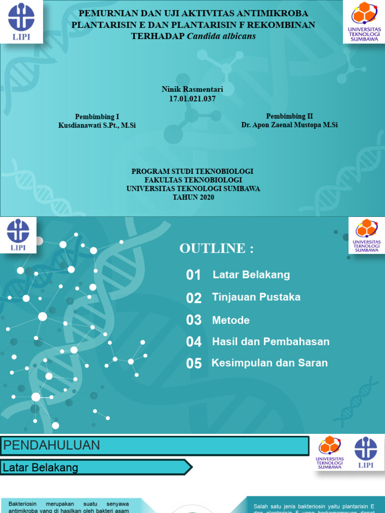 Seminar PKL Ninik Rasmentari | PDF