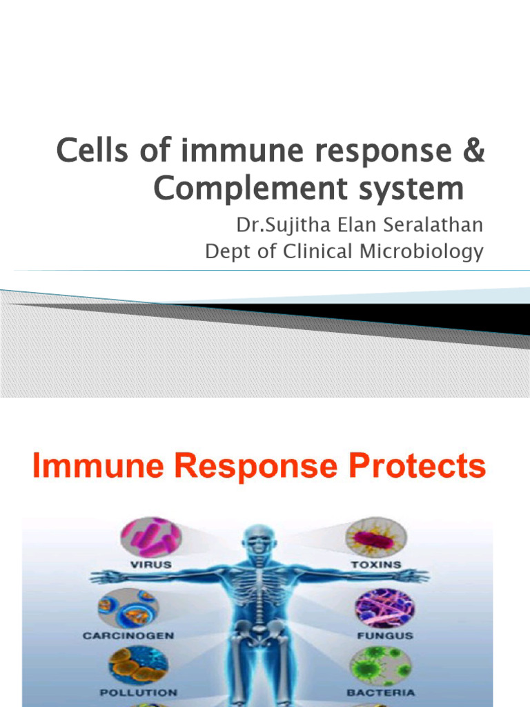 Immune System Structure and Function | PDF | Granulocyte | Lymphocyte