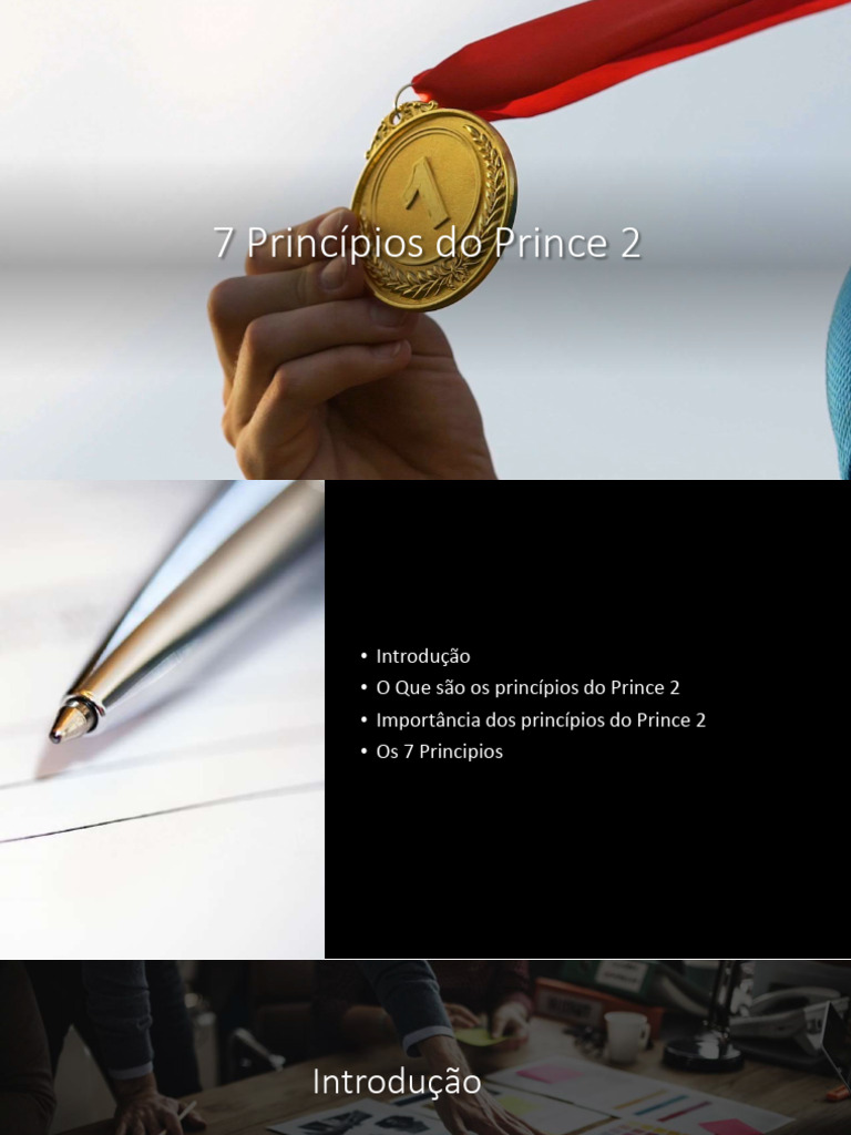 7 Principios Do Prince 2 | PDF