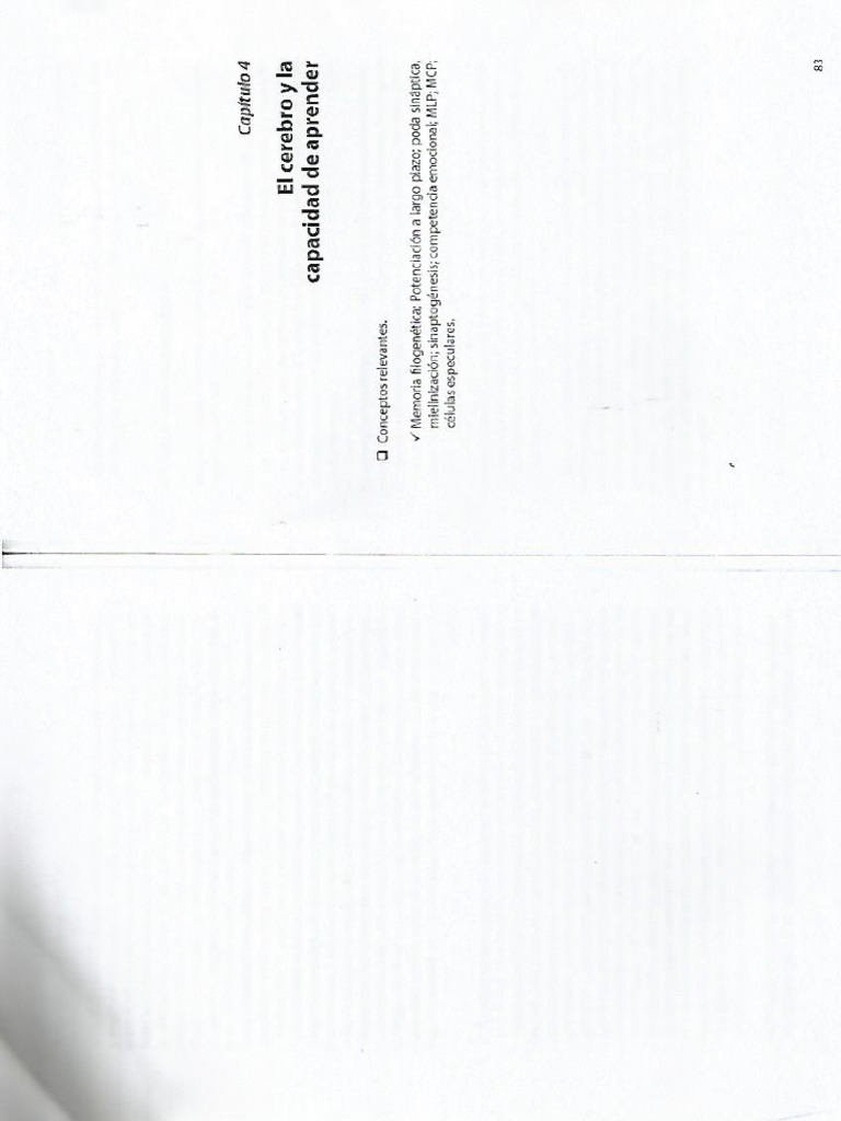 Neuroaprendizaje Cap4 Humberto Caicedo | PDF