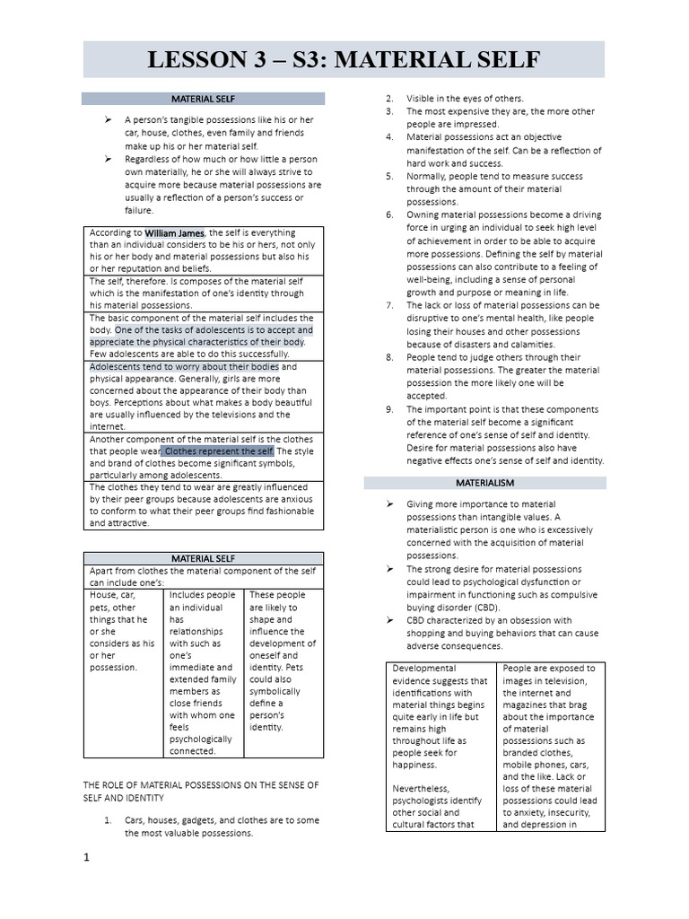 S3 - Lesson 3 | PDF | Self Concept | Consumerism