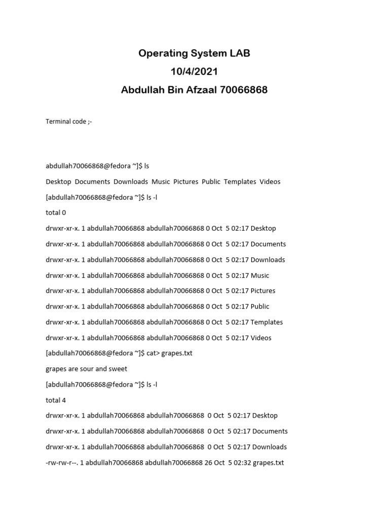 Operating System LAB 10/4/2021 Abdullah Bin Afzaal 70066868: Terminal Code | PDF | Computers