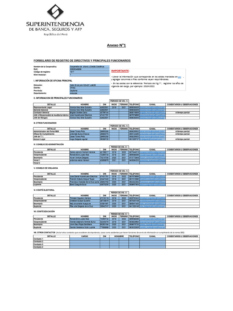 Anexo N°1 (1) | PDF