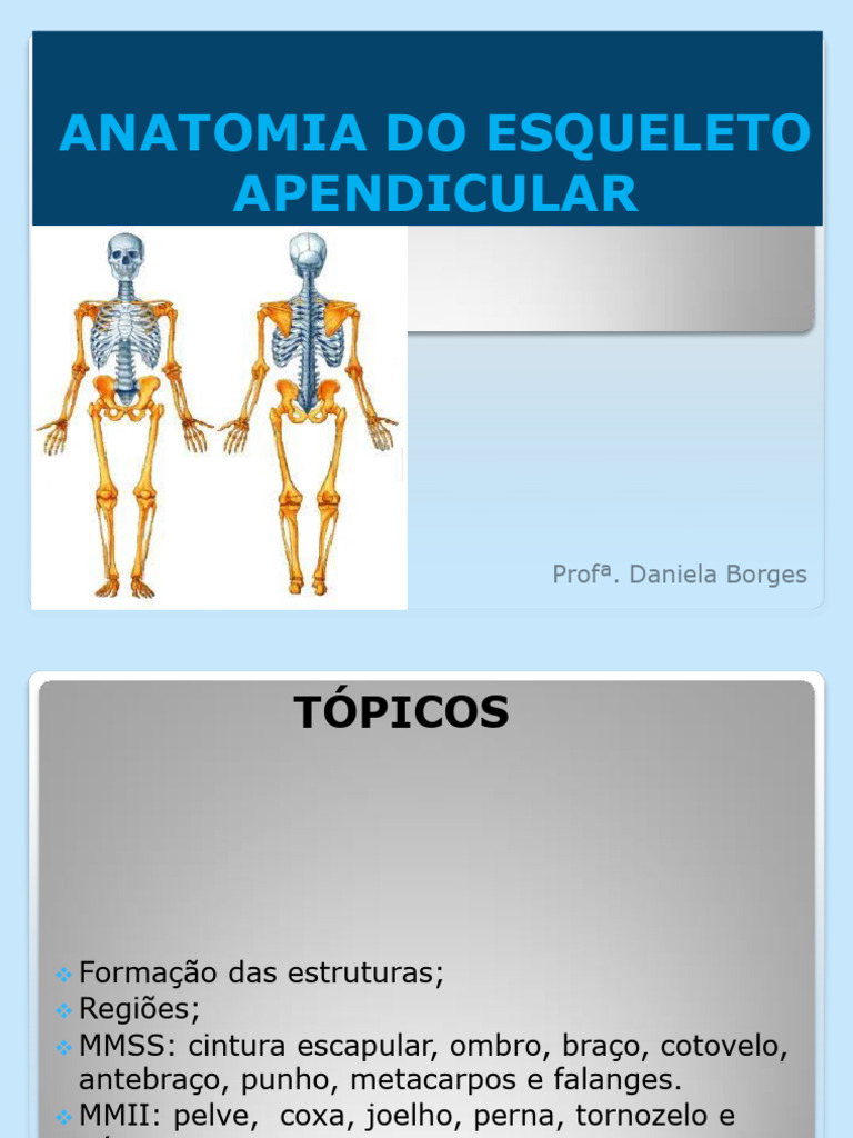 ANATOMIA DO ESQUELETO APENDICULAR | PDF | Sistema Esquelético ...