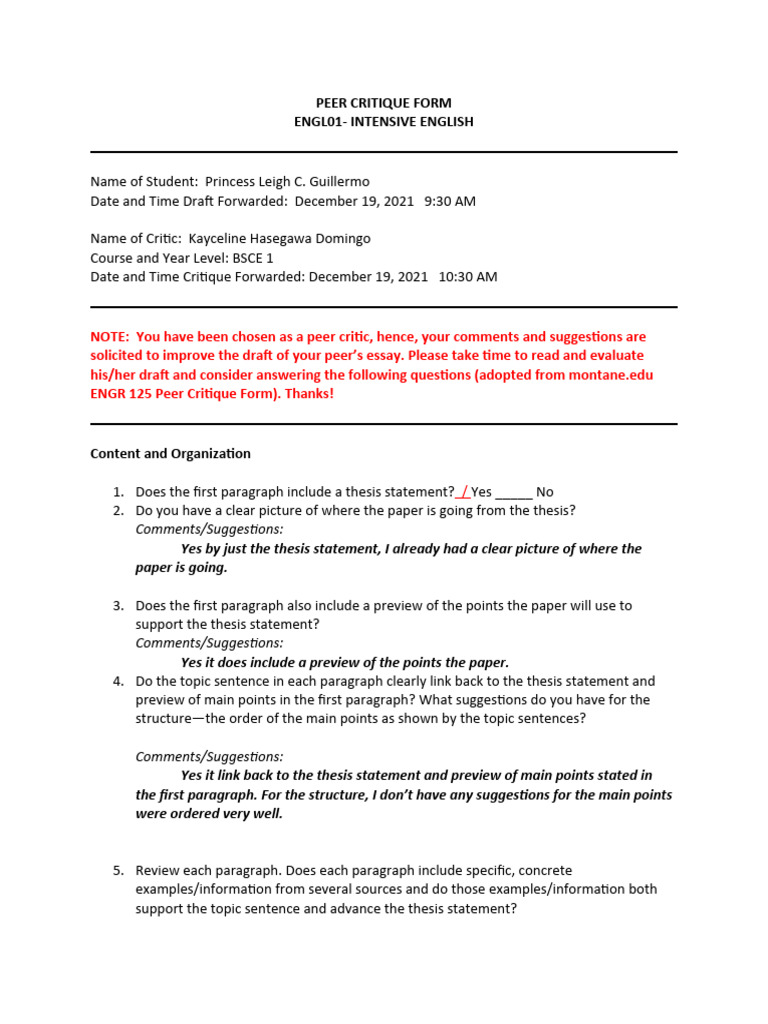 Peer Critique Form | PDF | Writing | Human Communication