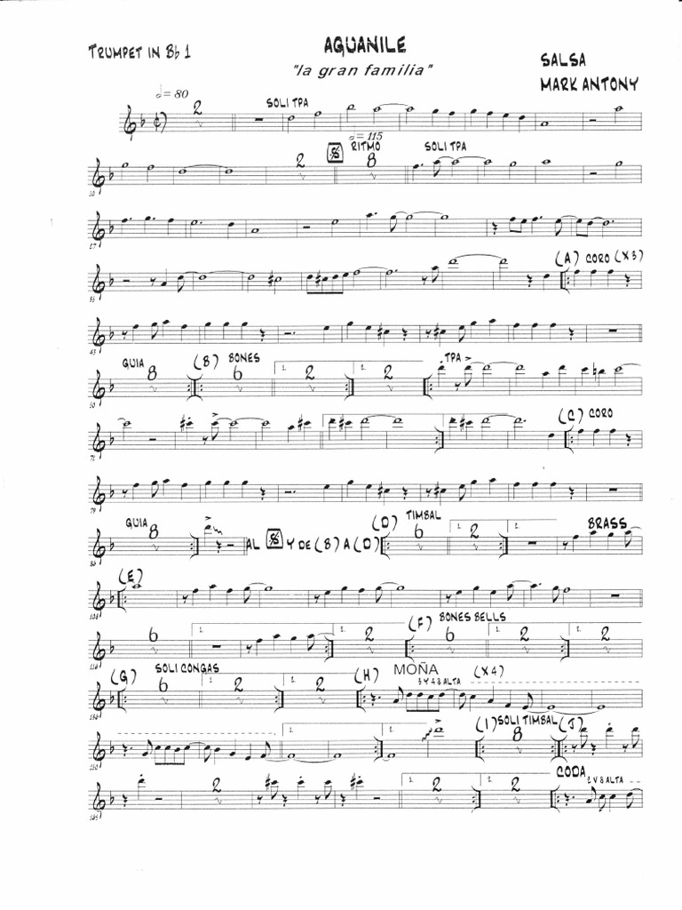 Aguanile 074336 | PDF