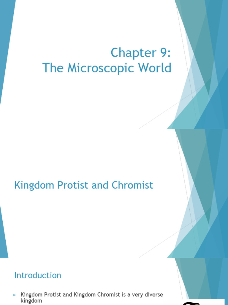 CH 7 | PDF | Science & Mathematics