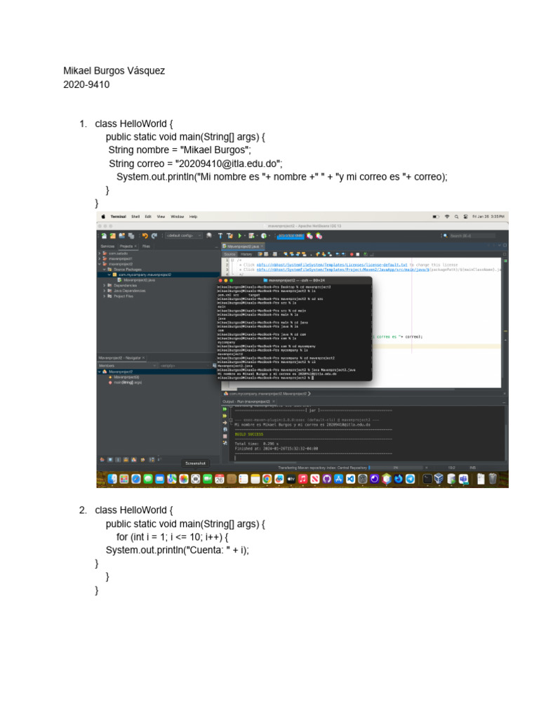 Programacion Java | PDF
