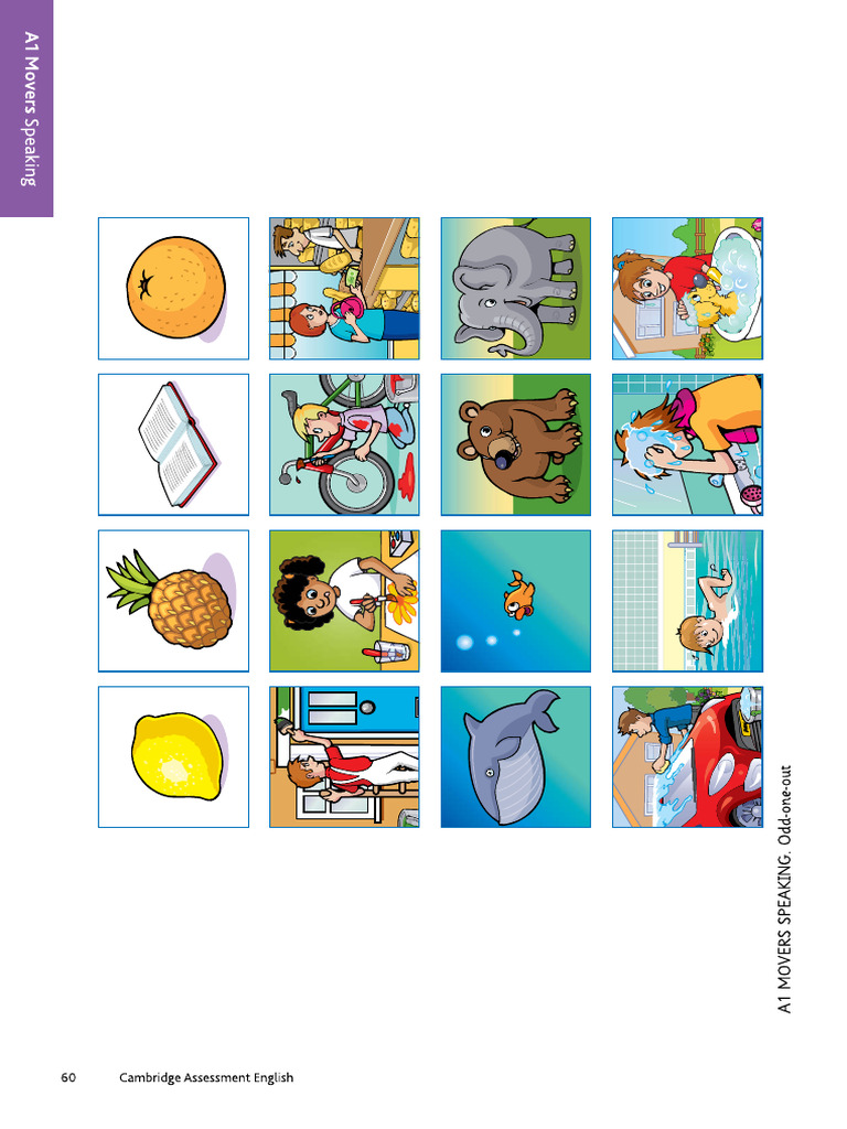 Young Learners Sample Papers 2018 Vol1 in | PDF