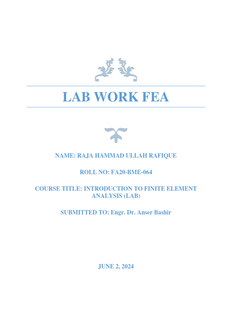 Fa20-Bme-064 (Fea Lab A1) PDF | PDF