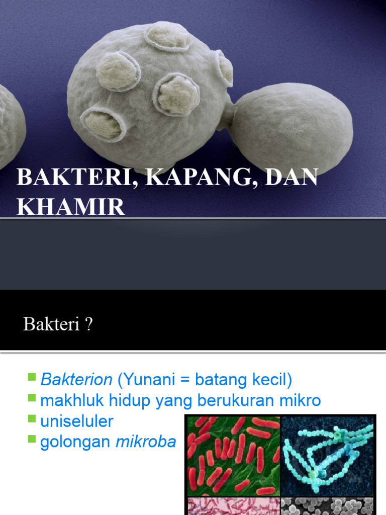 Mikrobiologi: Bakteri dan Fungi | PDF | Sains & Matematika
