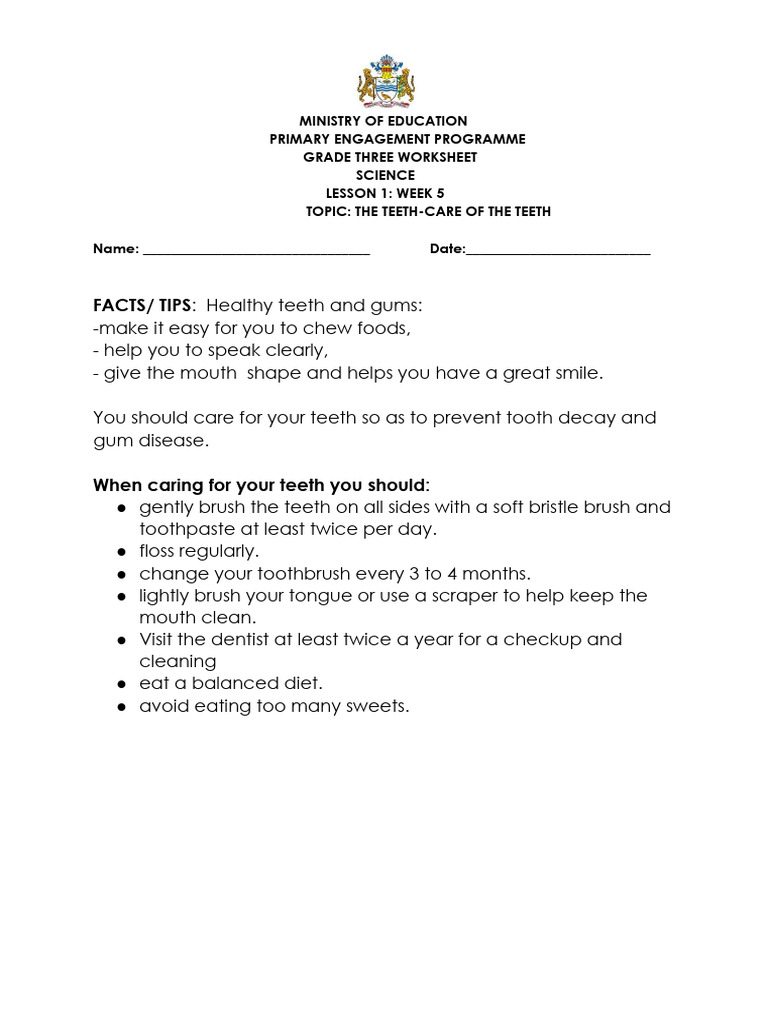 Grade 3 Science Weeks 5-8 Worksheets - Term 1 | PDF | Digestion ...
