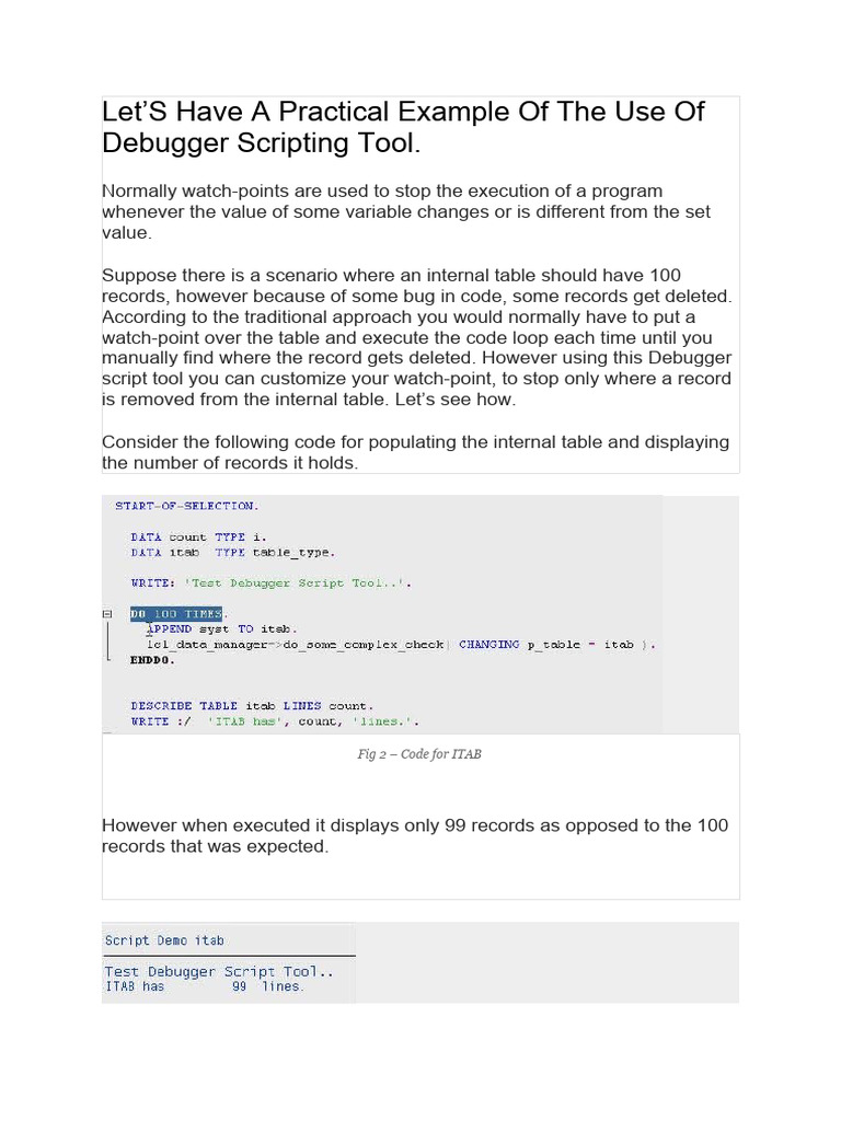 Abap Debug Scripting Tool Pdf Software Bug Debugging