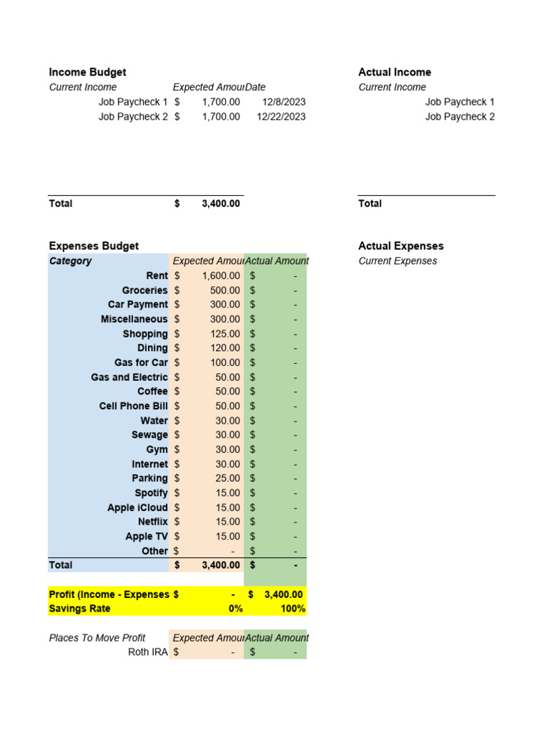 Braun Budgeting Template 2024 | PDF | Expense