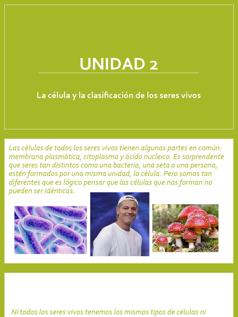 Unidad 2 La Célula y La Clasificación de Los Seres Vivos 1 (1) | PDF | Biología Celular ...