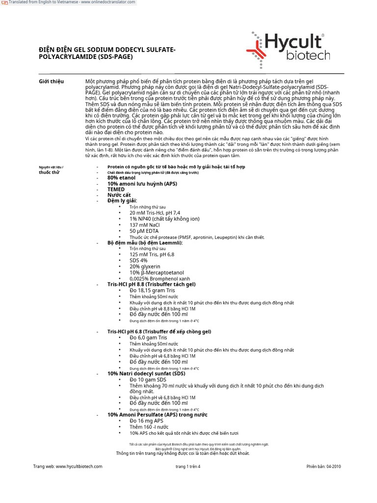 Protocol SDS Page - En.vi | PDF