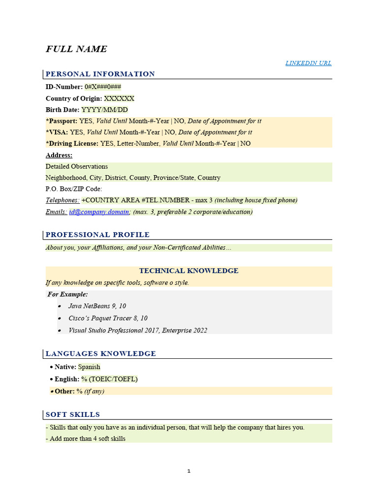Template Curriculum Vitae (Resumé) 2024 | PDF