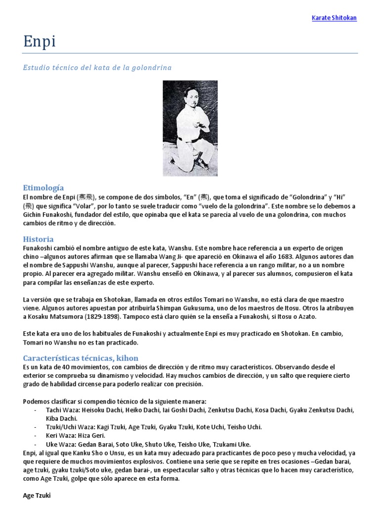 Enpi | PDF | Shotokan | Kata