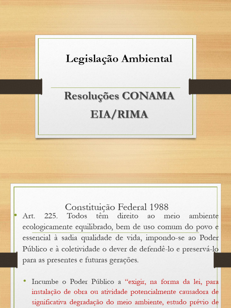 Conama Eia Rima | PDF | Mineração | Ambiente natural