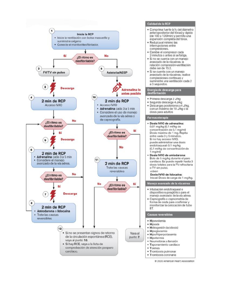Algoritmos Pals 2020 Pdf