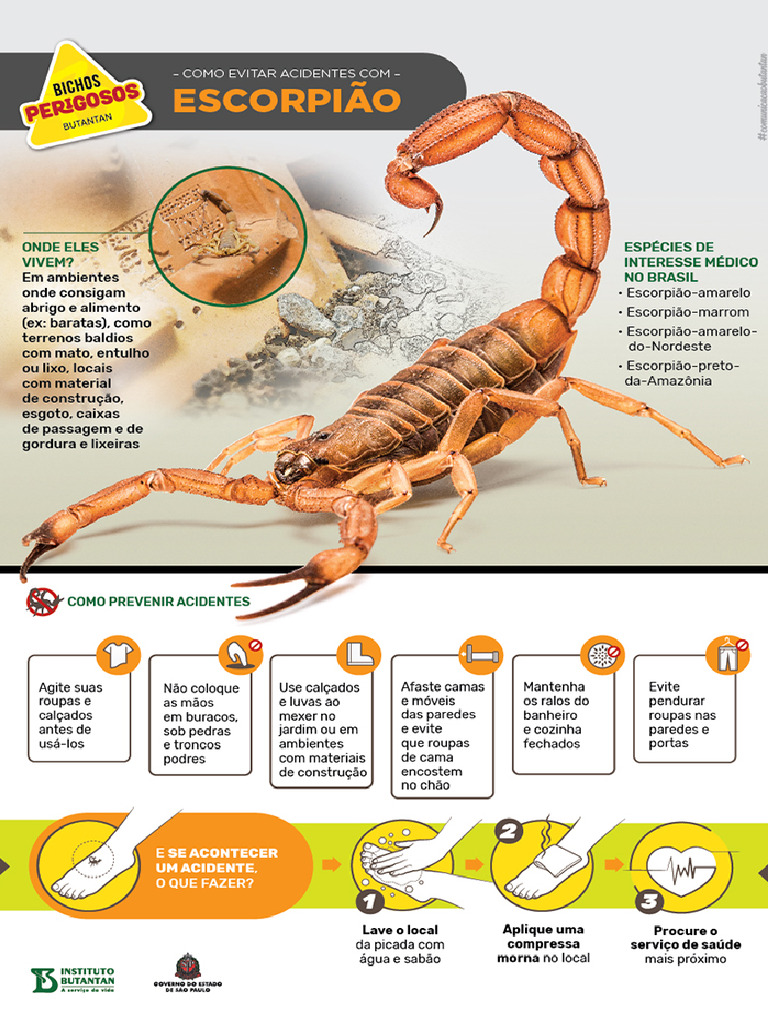 lista detalhada cuidados escorpião diagrama.jpg | PDF