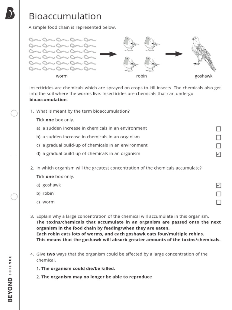 Bioaccumulation Worksheet Support Answers | PDF