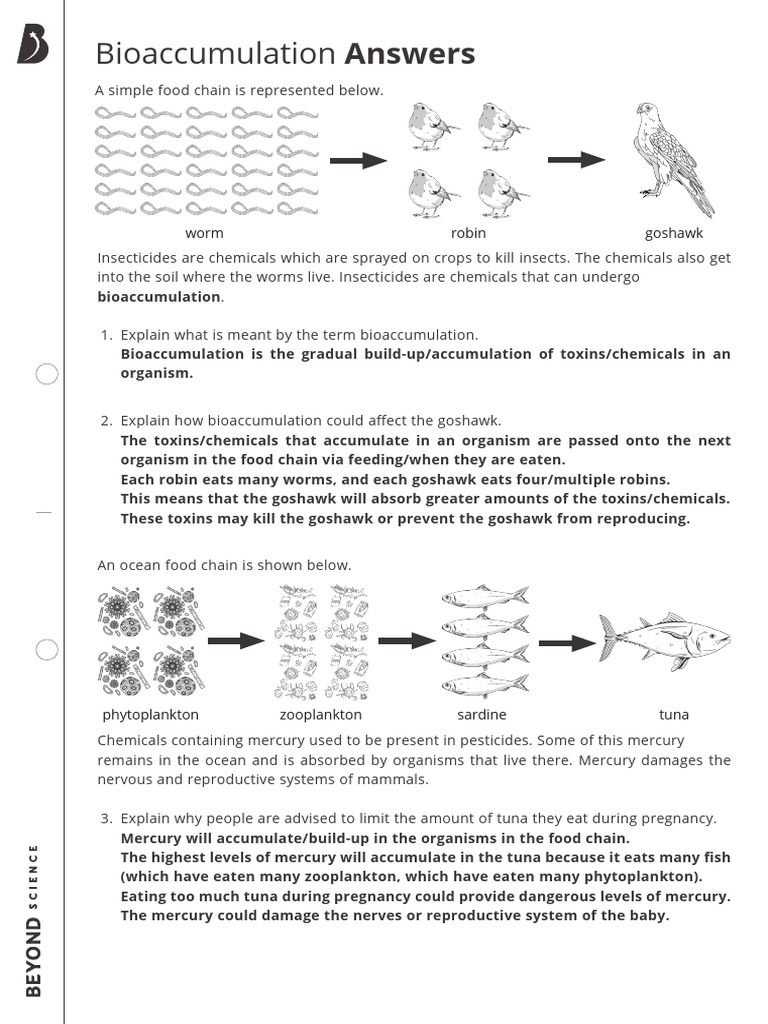 Bioaccumulation Worksheet Answers | PDF