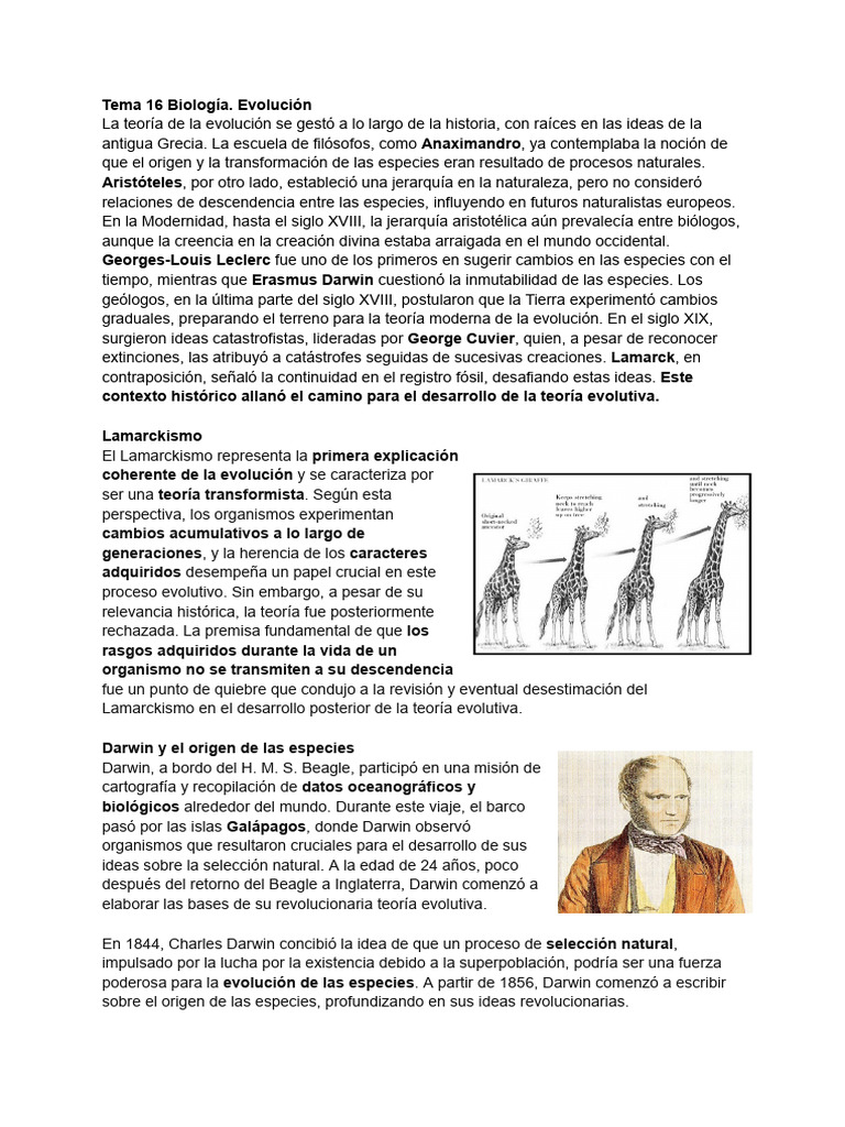 Tema 16 Biología | PDF | Evolución | Cigosidad