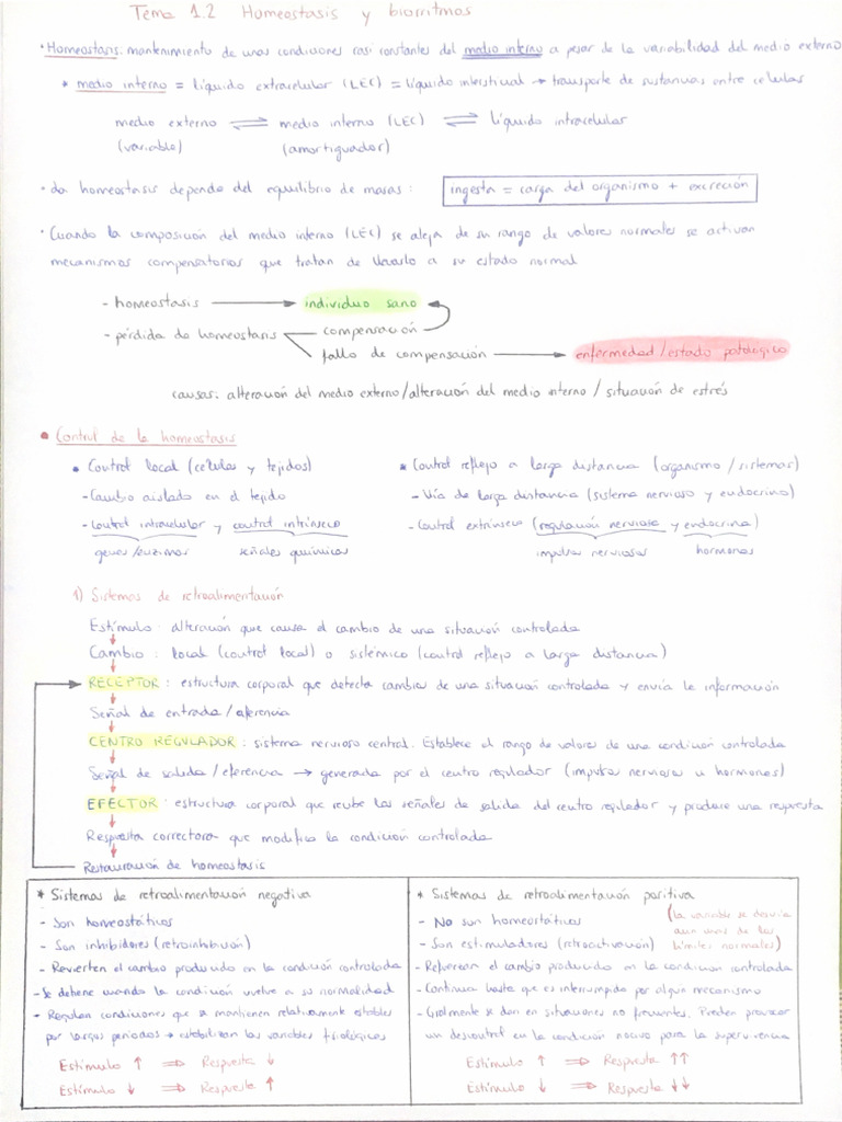Esquema 2 - Homeostasis y Biorritmos | PDF