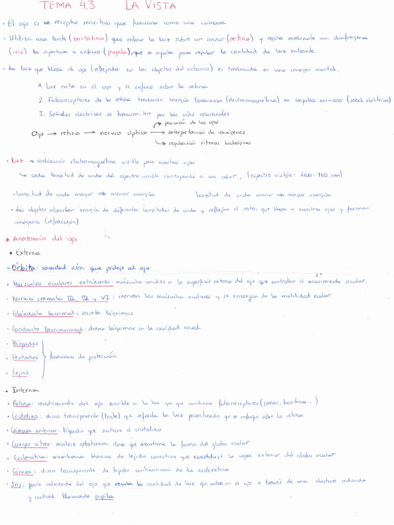 Esquema 10 - Vista | PDF