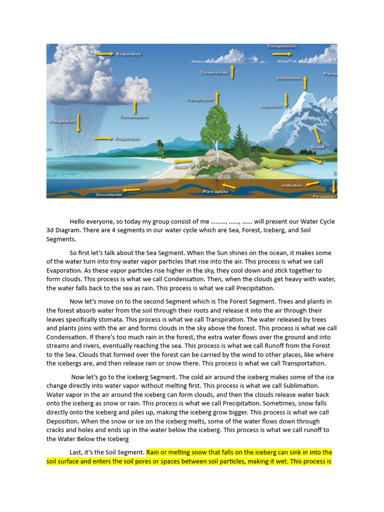 Script Bio 2024 | PDF | Water Cycle | Water