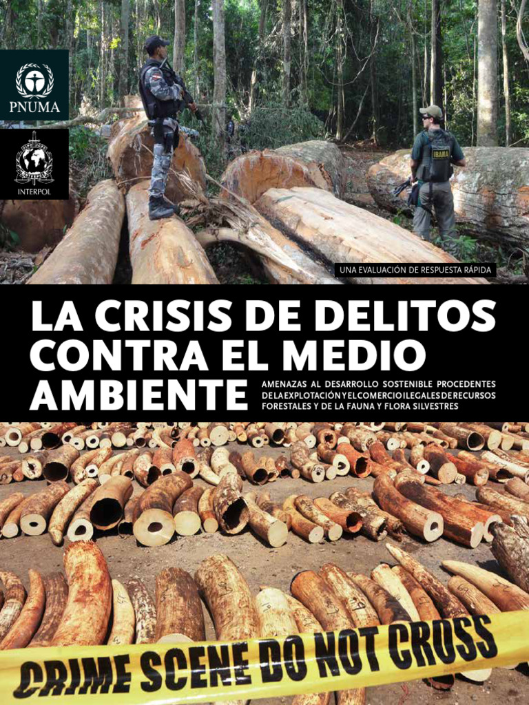The Environmental Crime Crisis - Threats To Sustainable Development ...
