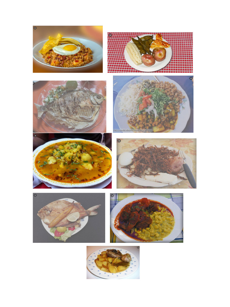 Platos Tipicos | PDF