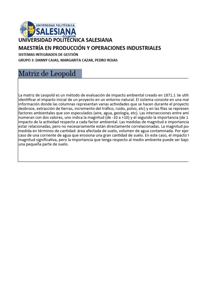 Matriz EIA Proyecto Minero | PDF